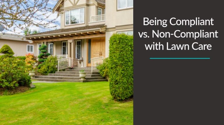 Being Compliant vs. Non-Compliant with Lawn Care - Management One ...